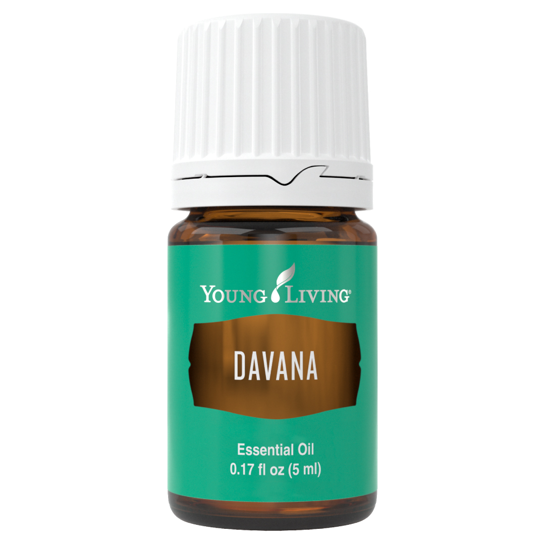 Davana (Artemisia pallens) – Young Living Blog